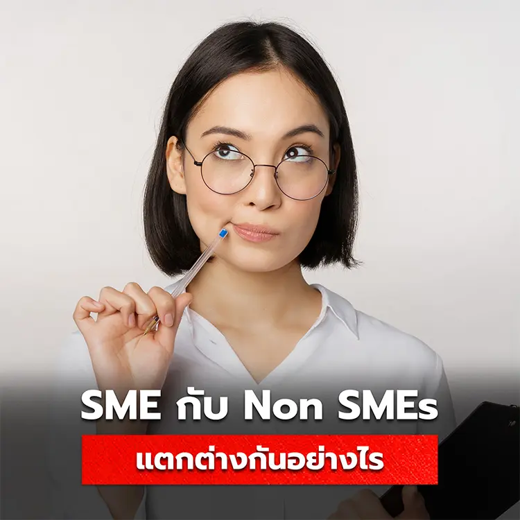 SME กับ Non SMEs ต่างกันอย่างไร? วิธีเปรียบเทียบธุรกิจที่เข้าใจง่ายที่สุด